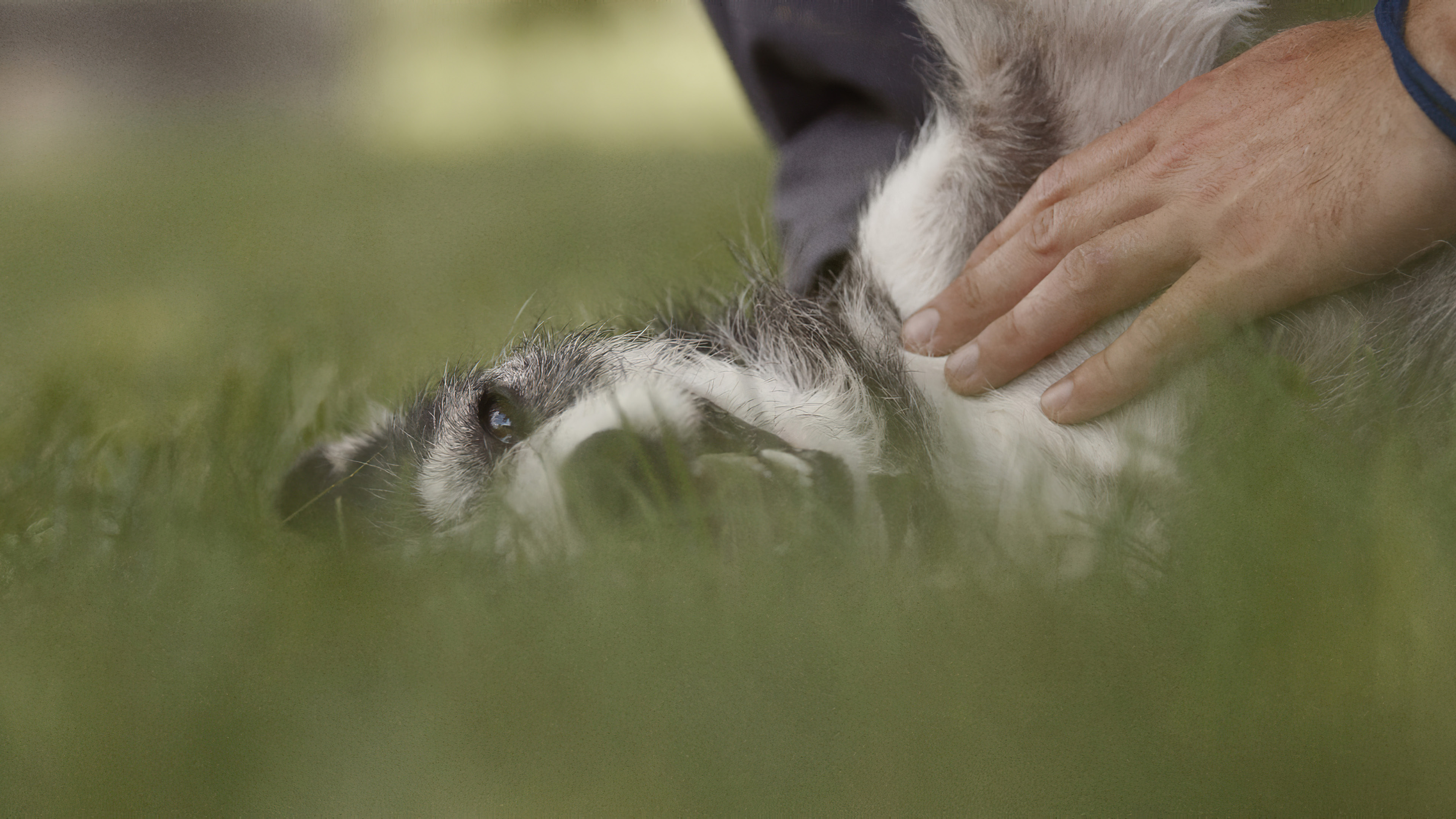 Adjusting | Doc Alliance