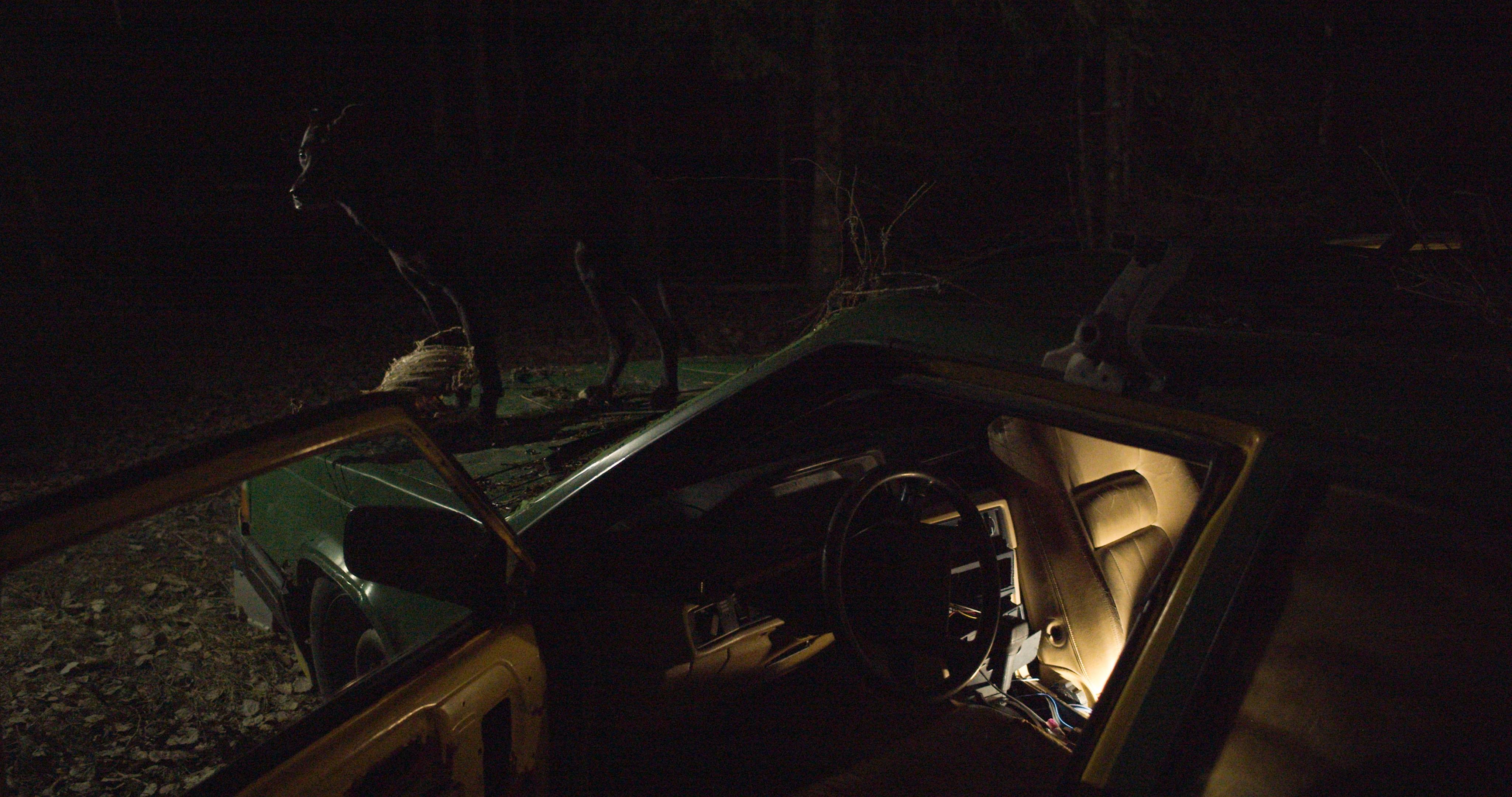 Nothing Runs Like a Deere | Doc Alliance